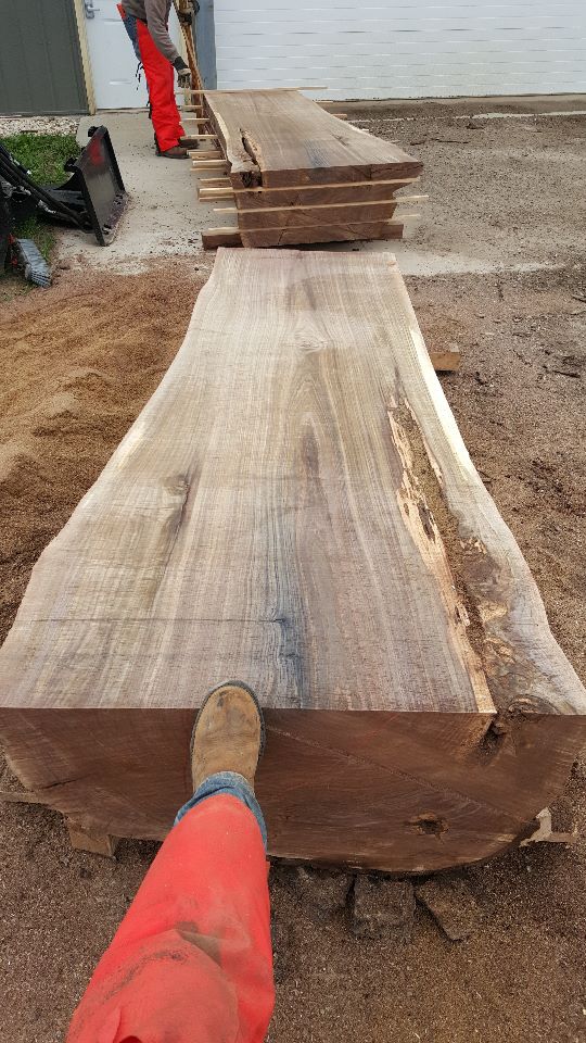 Bull Valley Hardwood | Slabs in the Making